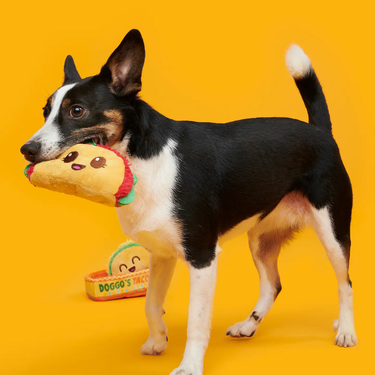 Bark Doggos Tacos Plush Dog Toy – Buffalo Barkery