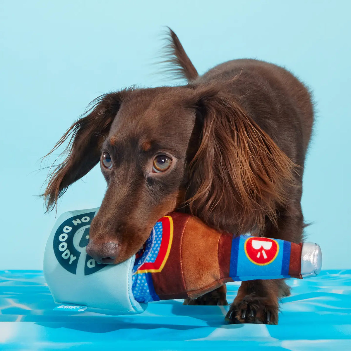 Bark Boozy Doody Koozie Plush Dog Toy – Buffalo Barkery