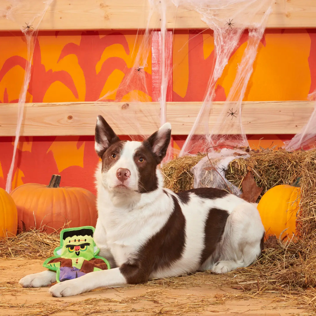 Bark Frankenstein's Muttster Plush Dog Toy – Buffalo Barkery